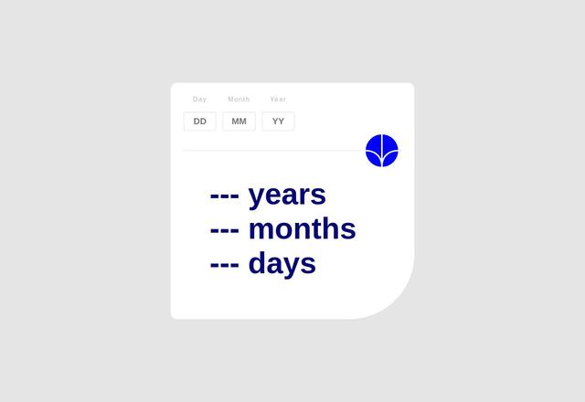 Frontend Mentor Age Calculator Html Css Js Coding Challenge Solution
