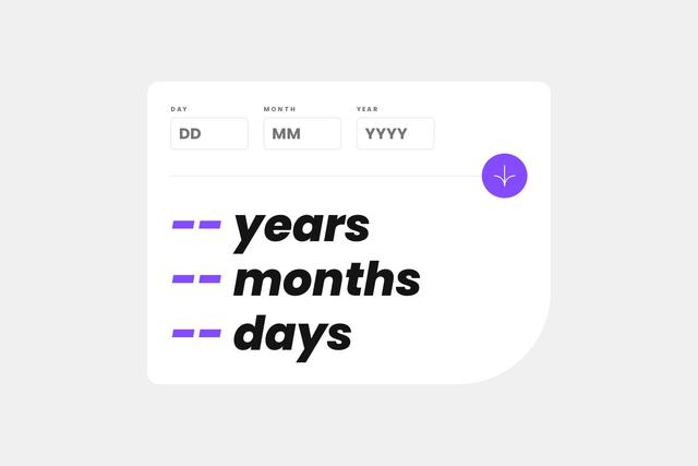 Frontend Mentor | Age calculator app using │ HTML CSS JAVASCRIPT API coding challenge solution