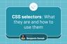 Frontend Mentor | CSS selectors: What they are and how to use them