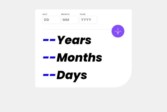 Frontend Mentor React And Tailwind Css Coding Challenge Solution